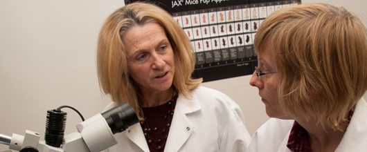 Biomedical Genetics - University of Rochester Medical Center