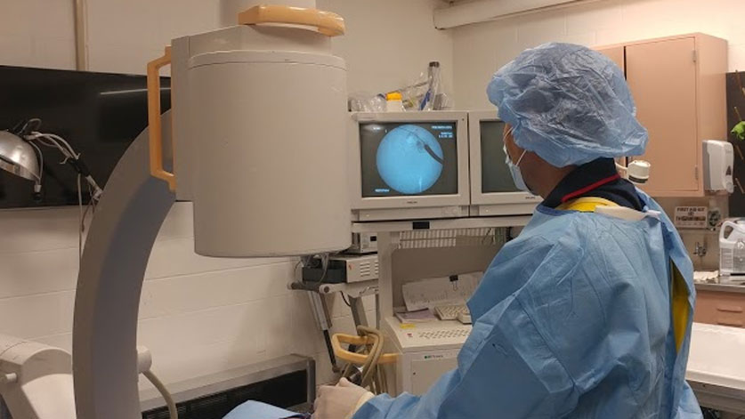 Percutaneous Nephrolithotomy Procedure