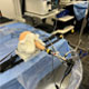 Surgical Research and Genitourinary Engineering Lab - University of ...